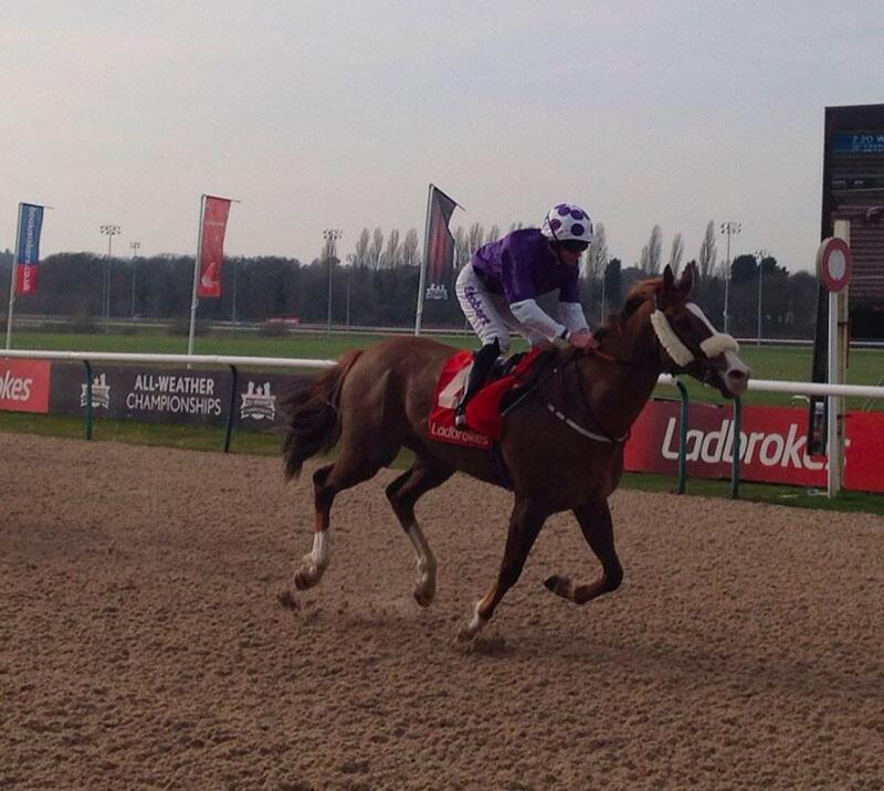 Lady Wulfruna | Racing Highlights | Wolverhampton Racecourse