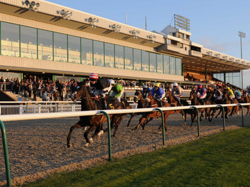 Wolverhampton Racecourse