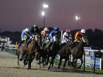 Wolverhampton Racecourse