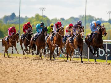 Wolverhampton Racecourse