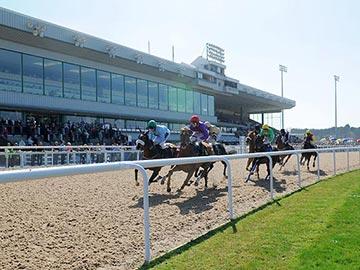 Wolverhampton Racecourse