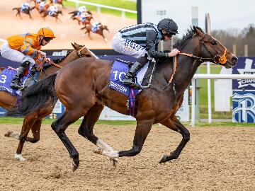 Wolverhampton Racecourse