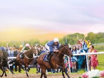 Wolverhampton Racecourse
