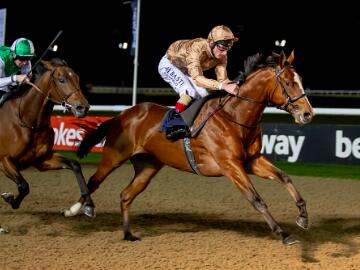 Wolverhampton Racecourse