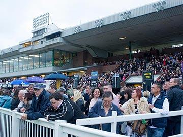 About Wolverhampton Racecourse | Wolverhampton Racecourse